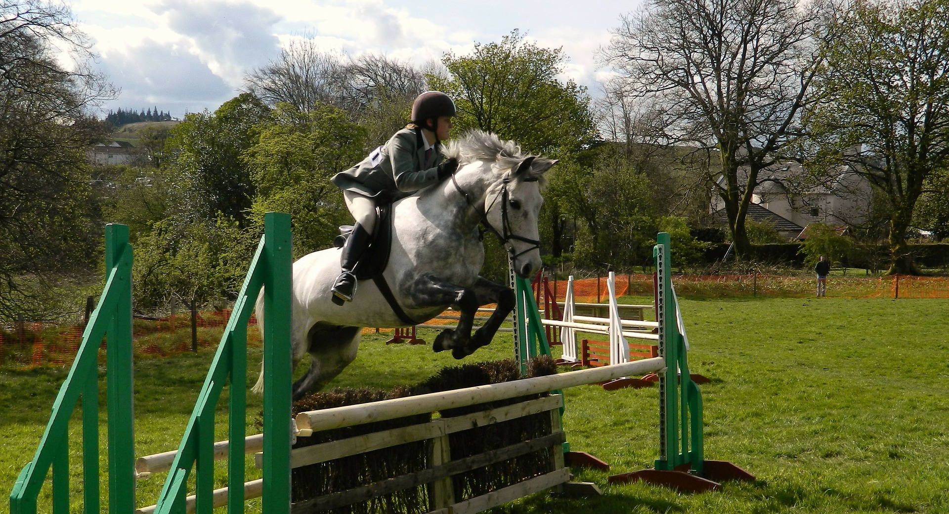 Crest Release- Where Did It Come From? - U.S. Horsemanship